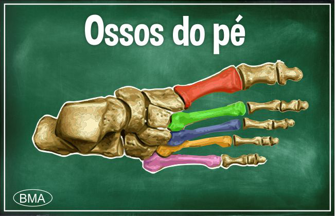 Ossos do Pé: Quais são? - BMA